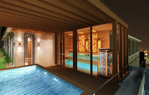 Innovative Ways to Incorporate Saunas into Modern Home Design - Nordak ...